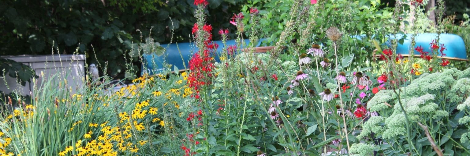 Benefits of Rain Gardens