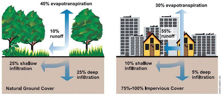 Stormwater Trees :: MMSD