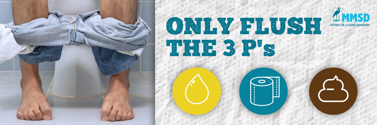 What Not to Flush Down the Toilet