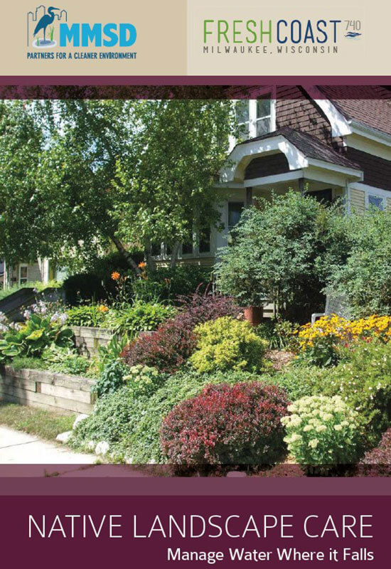 Native Landscaping :: MMSD