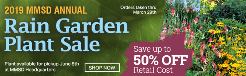 Rain Gardens :: MMSD